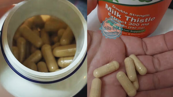 Viên uống Now Double Strength Milk Thistle Extract 300mg bổ gan Mỹ 200 viên