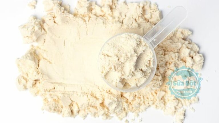 Bột Whey Protein Isolate là gì? Lợi ích khi sử dụng